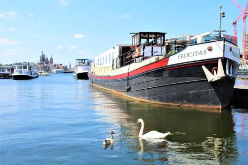 암스테르담 - Felicitas 후기, 가격, 위치 - 예약