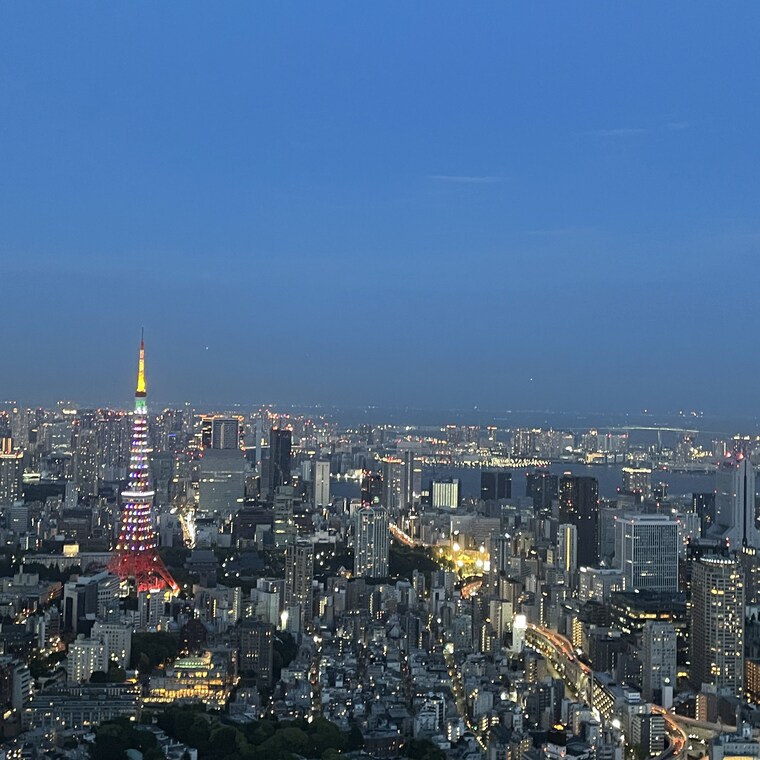 도쿄 전망대 ⭐~12월 한정특가⭐ 도쿄 롯폰기 힐즈 전망대 입장권 마이리얼트립