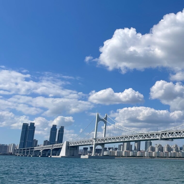 부산 크루즈·요트 부산요트투어 해운대 광안리 더베이101 요트다 퍼블릭 마이리얼트립
