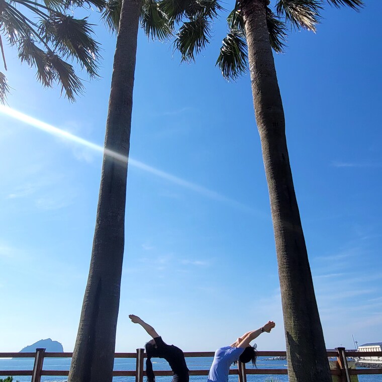 제주도 요가·다도·명상 서귀포 섶섬을 바라보며 바다요가잔디요가 선라이즈 선셋 힐링 요가 함께해요 마이리얼트립