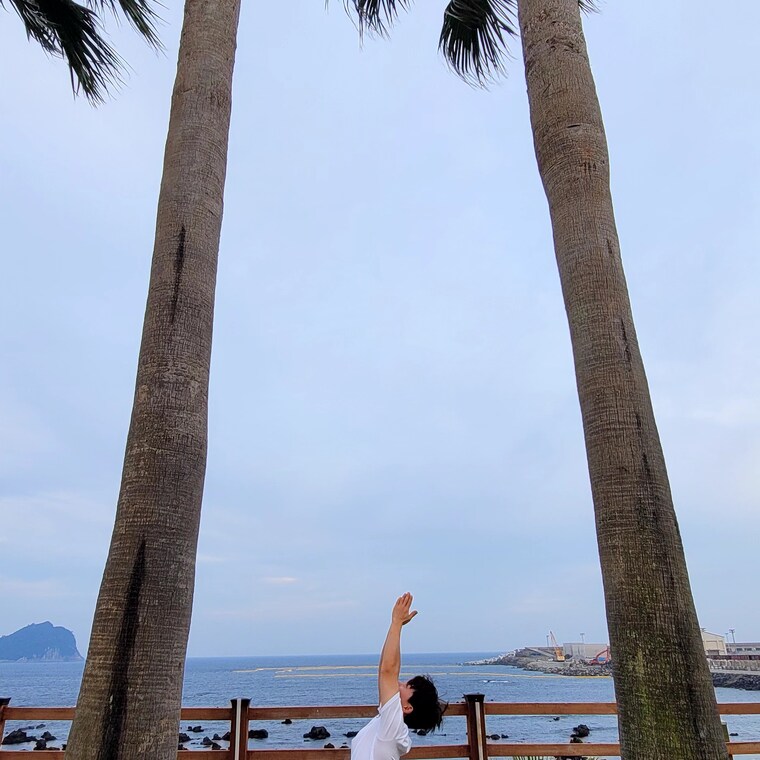 제주도 요가·다도·명상 서귀포 섶섬을 바라보며 바다요가잔디요가 선라이즈 선셋 힐링 요가 함께해요 마이리얼트립