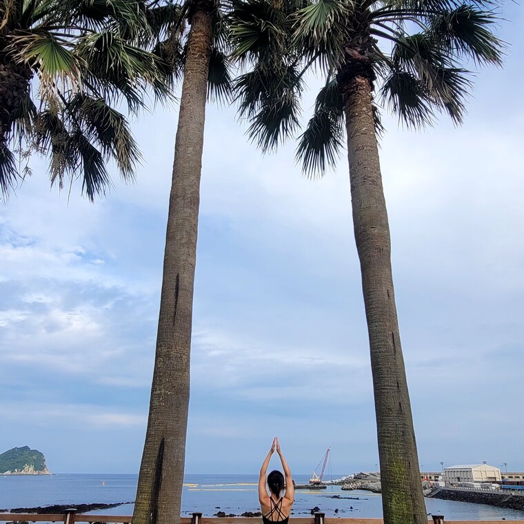 제주도 요가·다도·명상 서귀포 섶섬을 바라보며 바다요가잔디요가 선라이즈 선셋 힐링 요가 함께해요 마이리얼트립