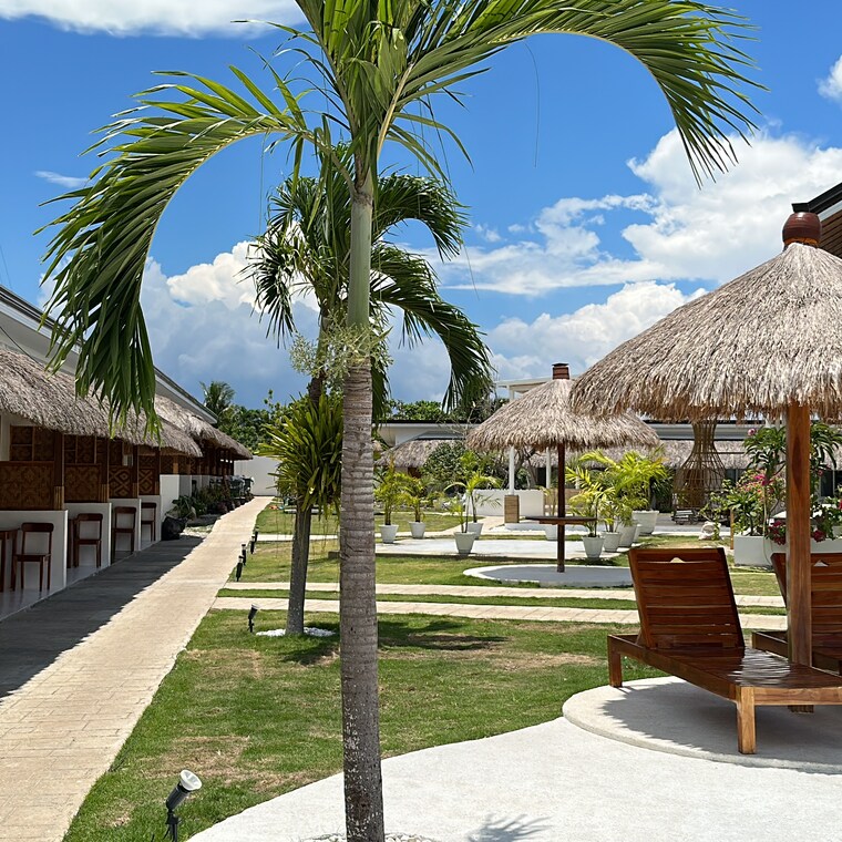 세부 캐녀닝 투어 패스트트랙 1박2일 오슬롭 고래상어모알보알 바다거북이캐녀닝 세부 트리쉐이드 마이리얼트립
