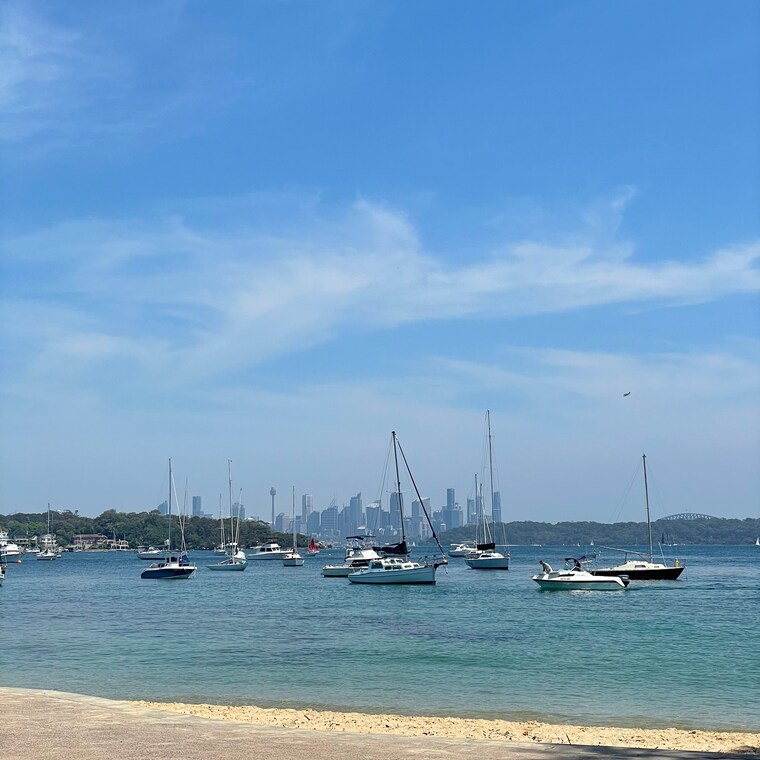 시드니 호주 동부해안 투어 반나절 알차게 프리미엄 소그룹 공항픽업아이스버그본다이비치동부해안 업그레이드 마이리얼트립