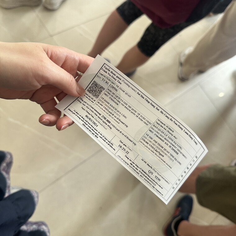 하노이 자연투어 후기 프로모션 당일투어 프리미엄 하롱베이 투어 크루즈 식사 포함 마이리얼트립