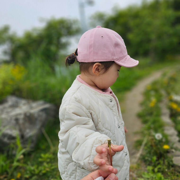 강원도 기타·콤보티켓 ★당일가능 모나용평 발왕산 케이블카and스카이워크 마이리얼트립