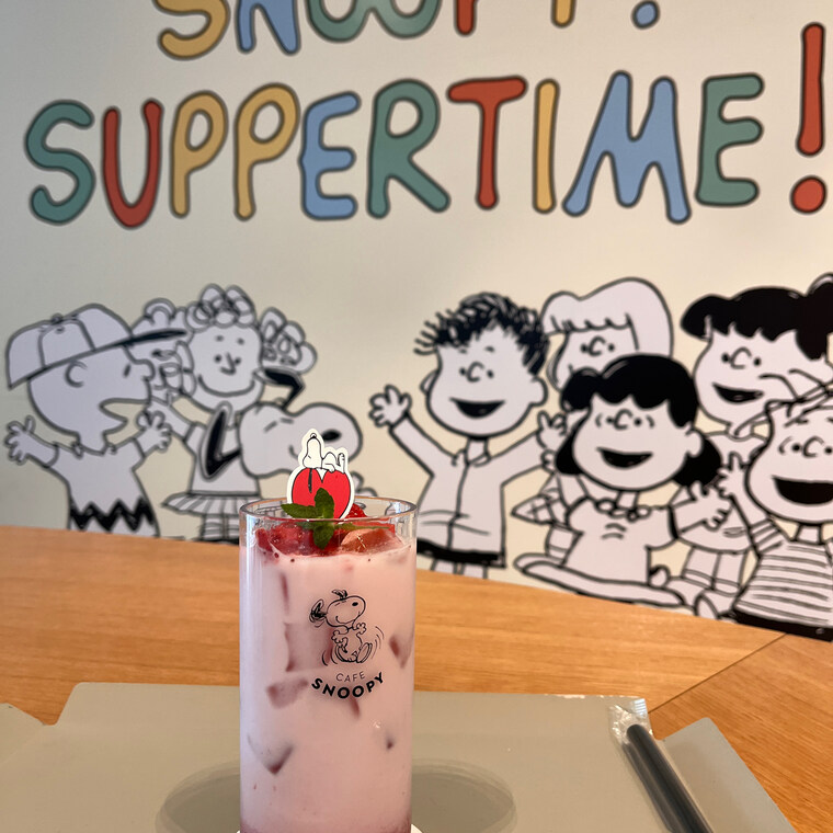 제주도 시티패스 ★단독특가 제주투어패스 마이리얼트립