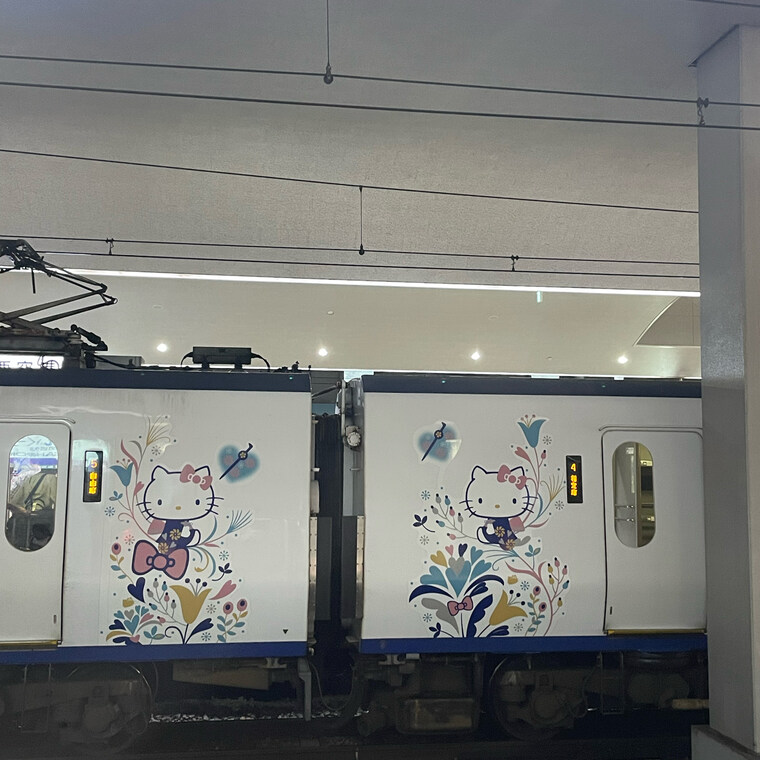 오사카 교통패스 오사카 난카이 라피트 편도 E 티켓 간사이 공항 ↔ 난카이 난바역 마이리얼트립