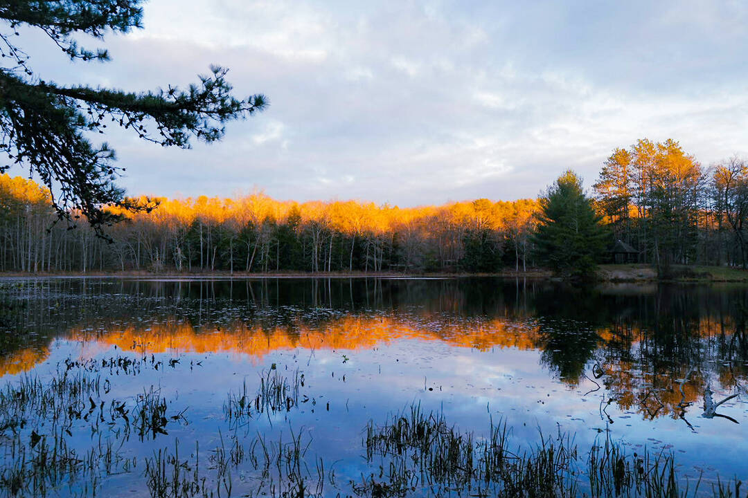 뉴욕에서 몸과 마음 힐링 받는 여행을 하고 싶다면…?
