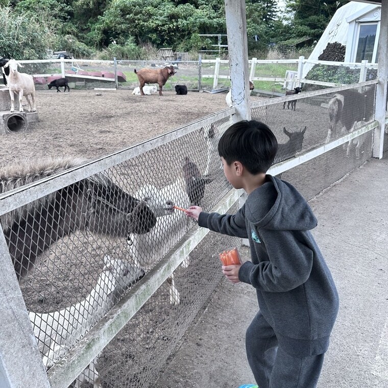 제주도 시티패스 ★당일가능 제주투어패스 마이리얼트립