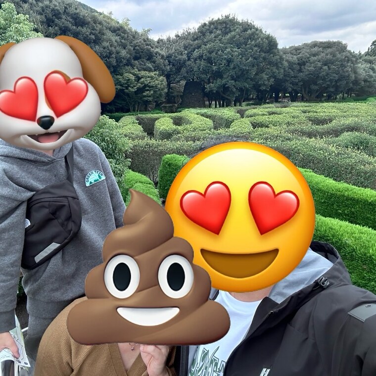 제주도 시티패스 ★당일가능 제주투어패스 마이리얼트립