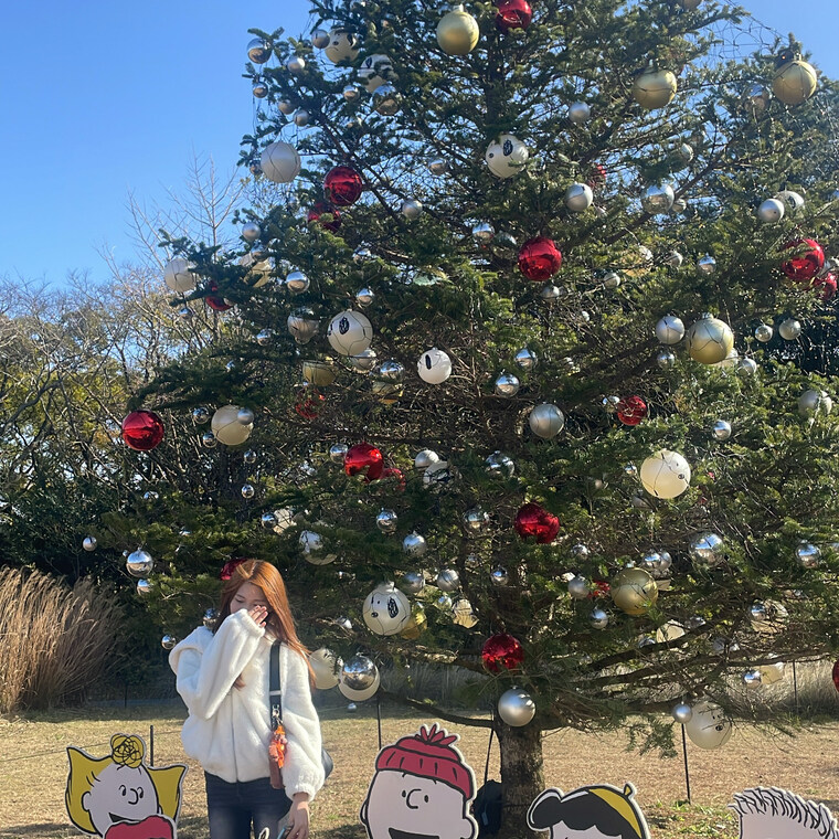 제주도 박물관·미술관 입장권 선착순쿠폰 스누피가든 입장권 마이리얼트립