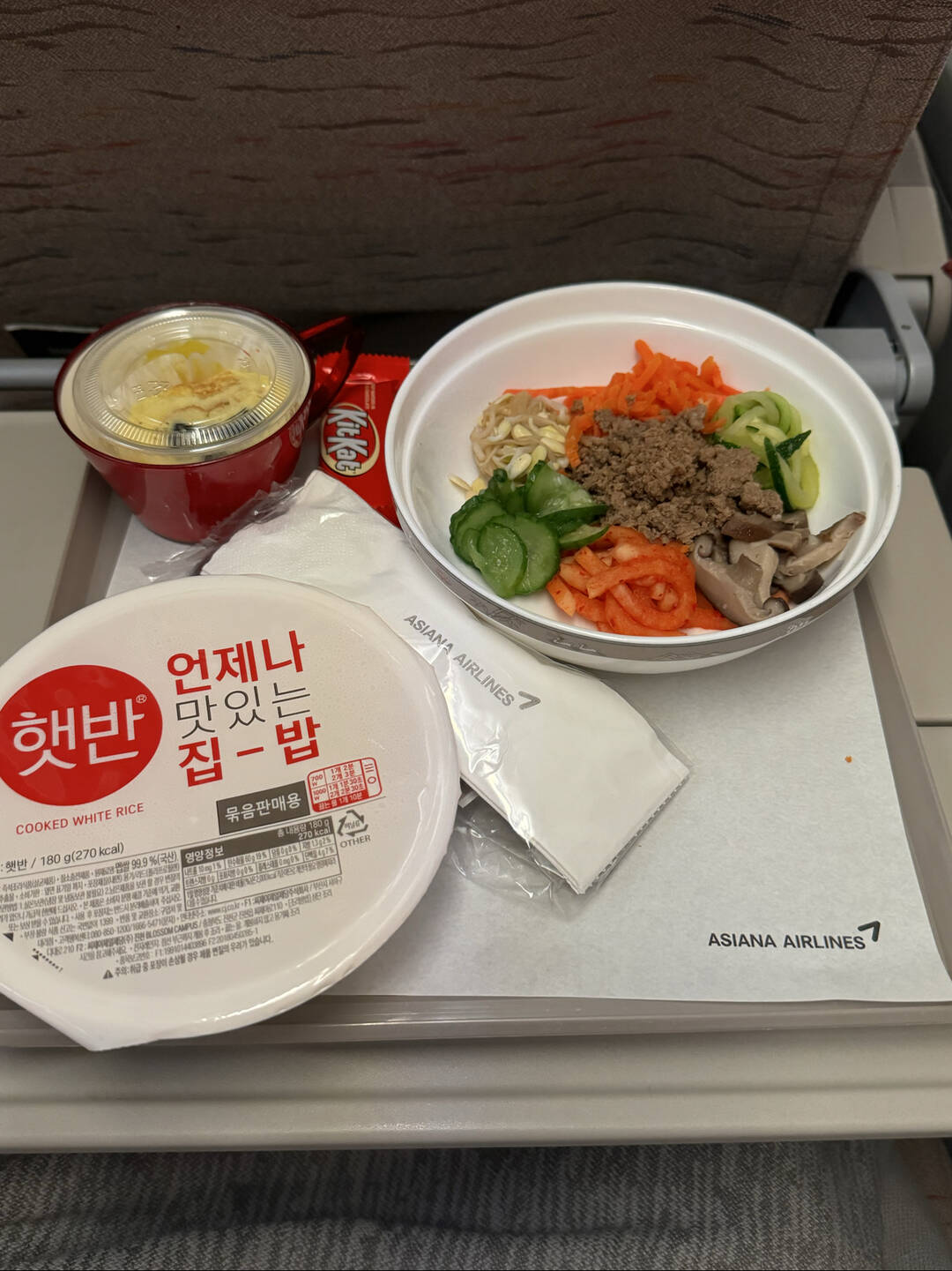 아시아나 OZ203 LA-인천 2층 비행기 A380 탑승 후기 (2층 듀오