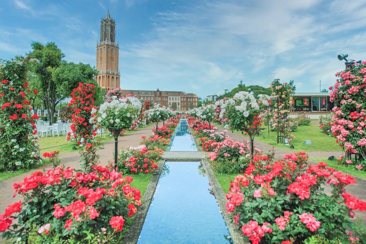 Experience the Magic of Nagasaki: 2026 Huis Ten Bosch Fireworks Tour ...